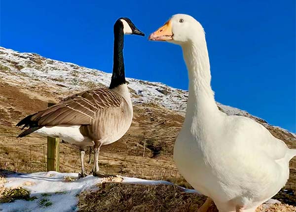 Garrison of Inversnaid, Loch Lomond, Scotland
